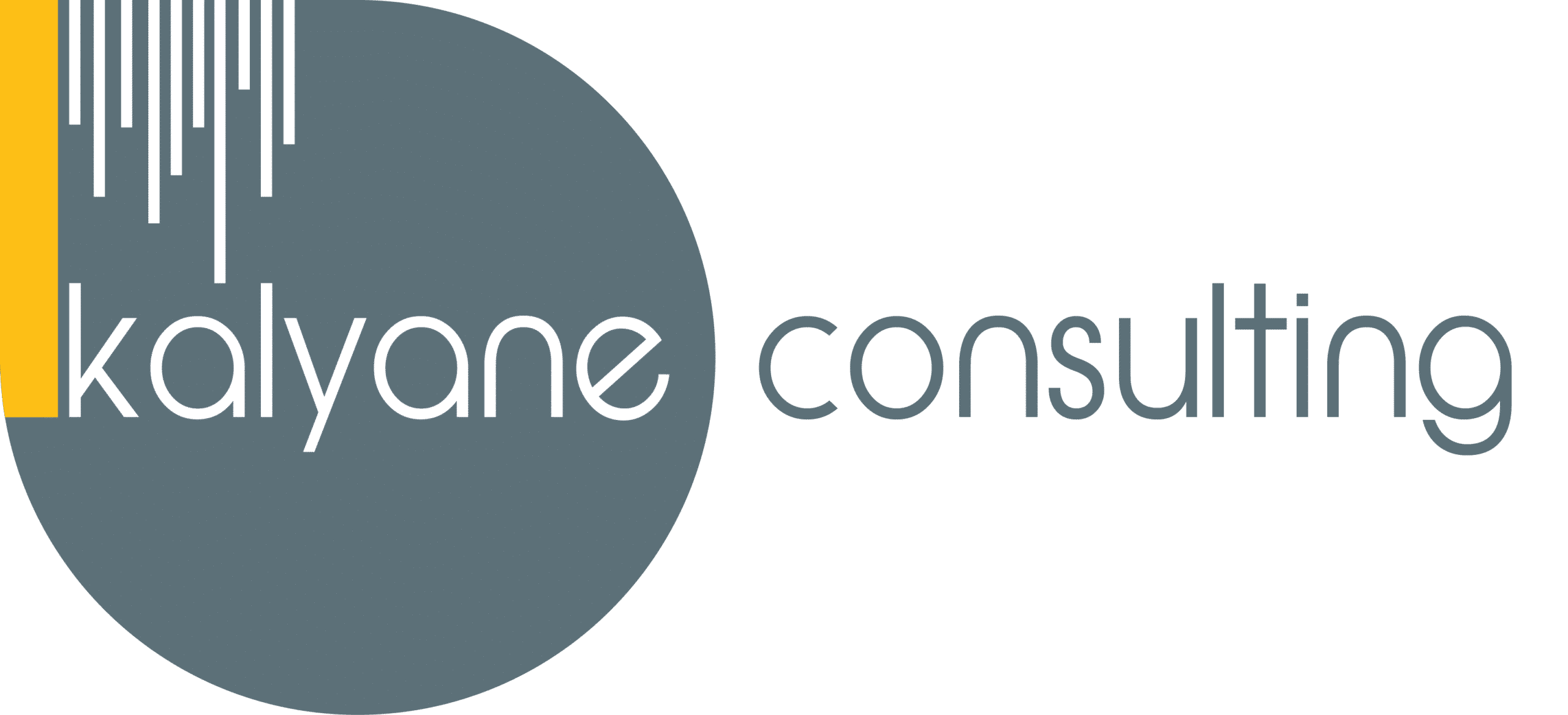 Questionnaire Marketing Digital - Kalyane Consulting